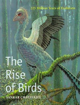 The Rise of Birds by Sankar Chatterjee | Italic Type